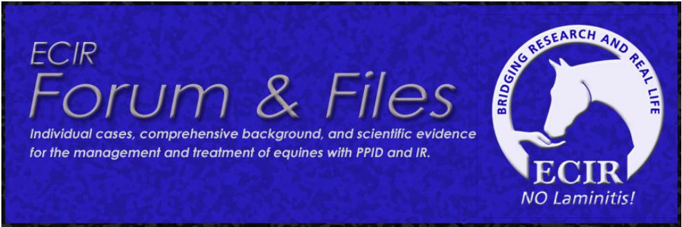 New Home of the ECIR Group - groups.io | ECIR Group, Inc.